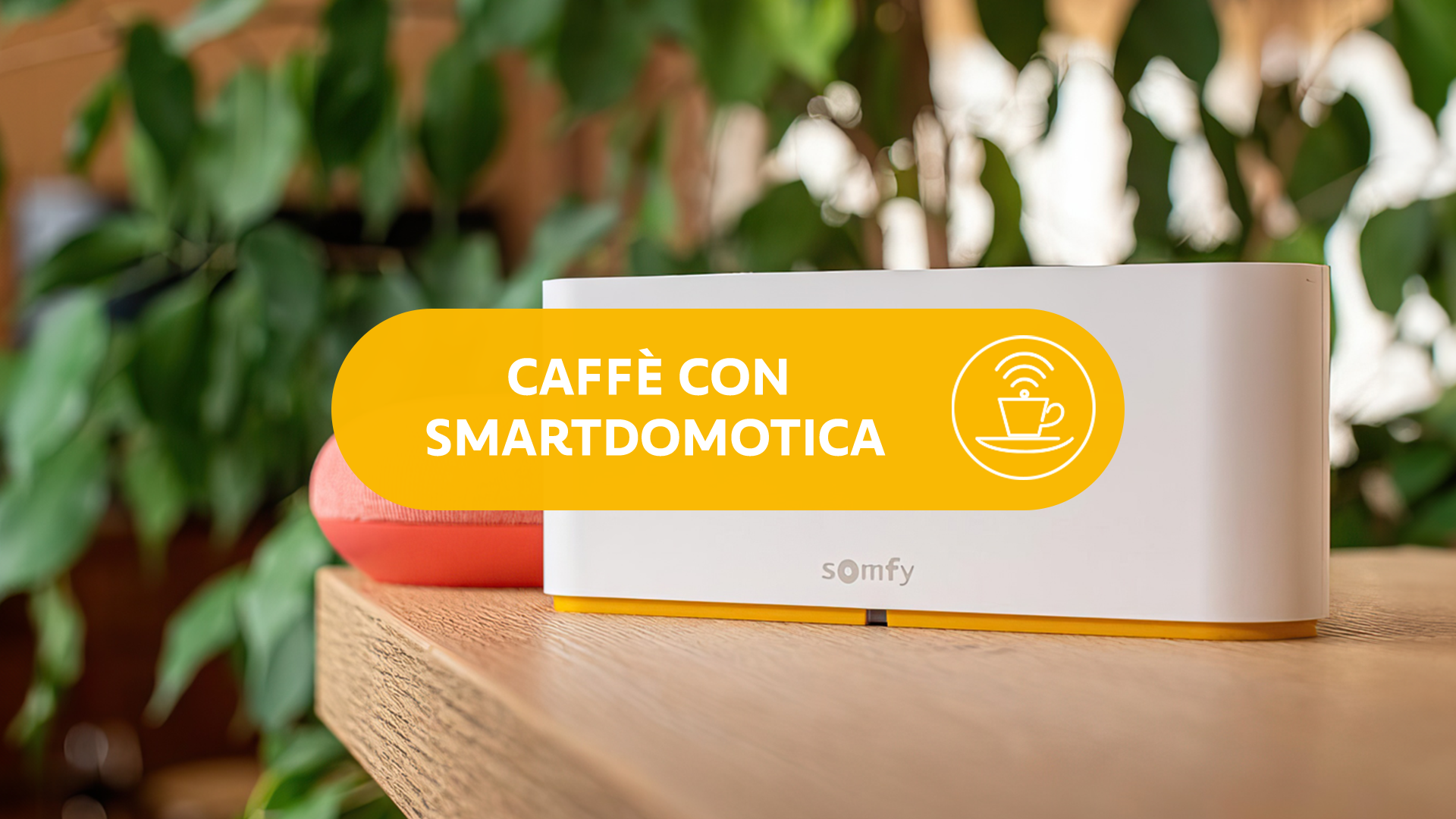 TaHoma Switch istruzioni